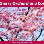 The Cherry Orchard Questions and Answers - All About English Literature